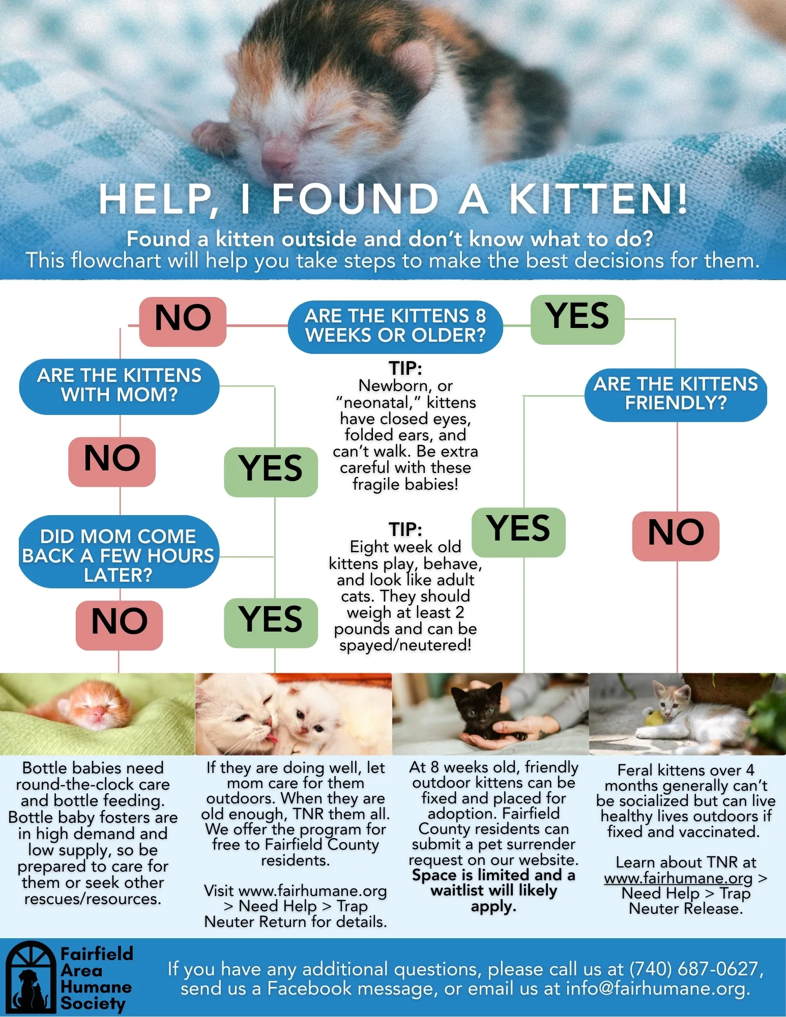 FAHS Surrendering Your Pet - Fairfield Area Humane Society - Lancaster ...