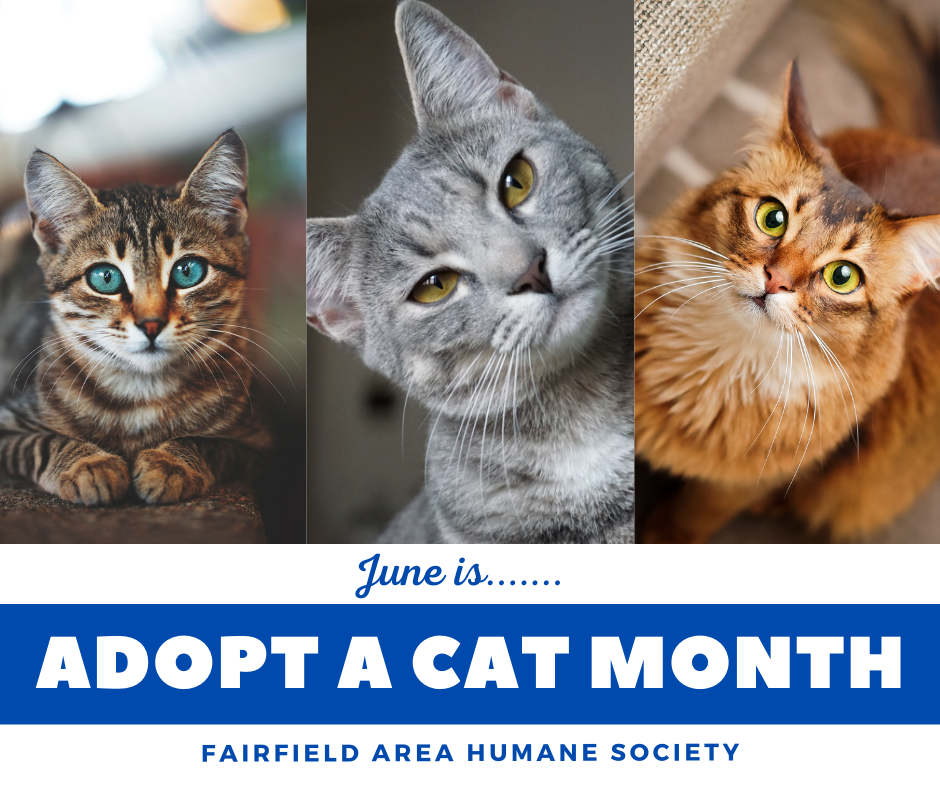 Fairfield Area Humane Society - Lancaster, Ohio 43130